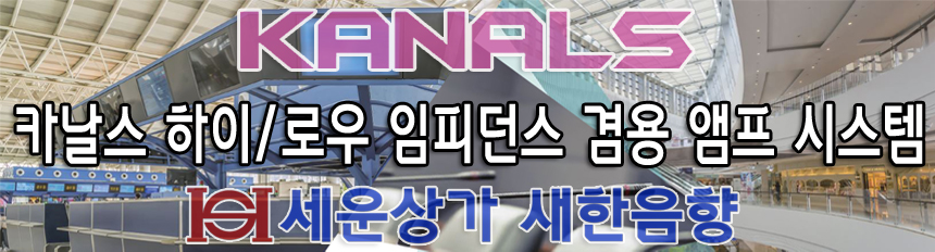 LH-140 카날스 하이/로우 임피던스 동시 사용 앰프, USB, TF, 에코